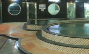 mogyoktang | Elwood 5566