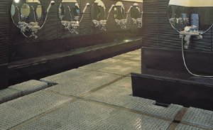 mogyoktang | Elwood 5566