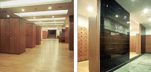 mogyoktang | Elwood 5566